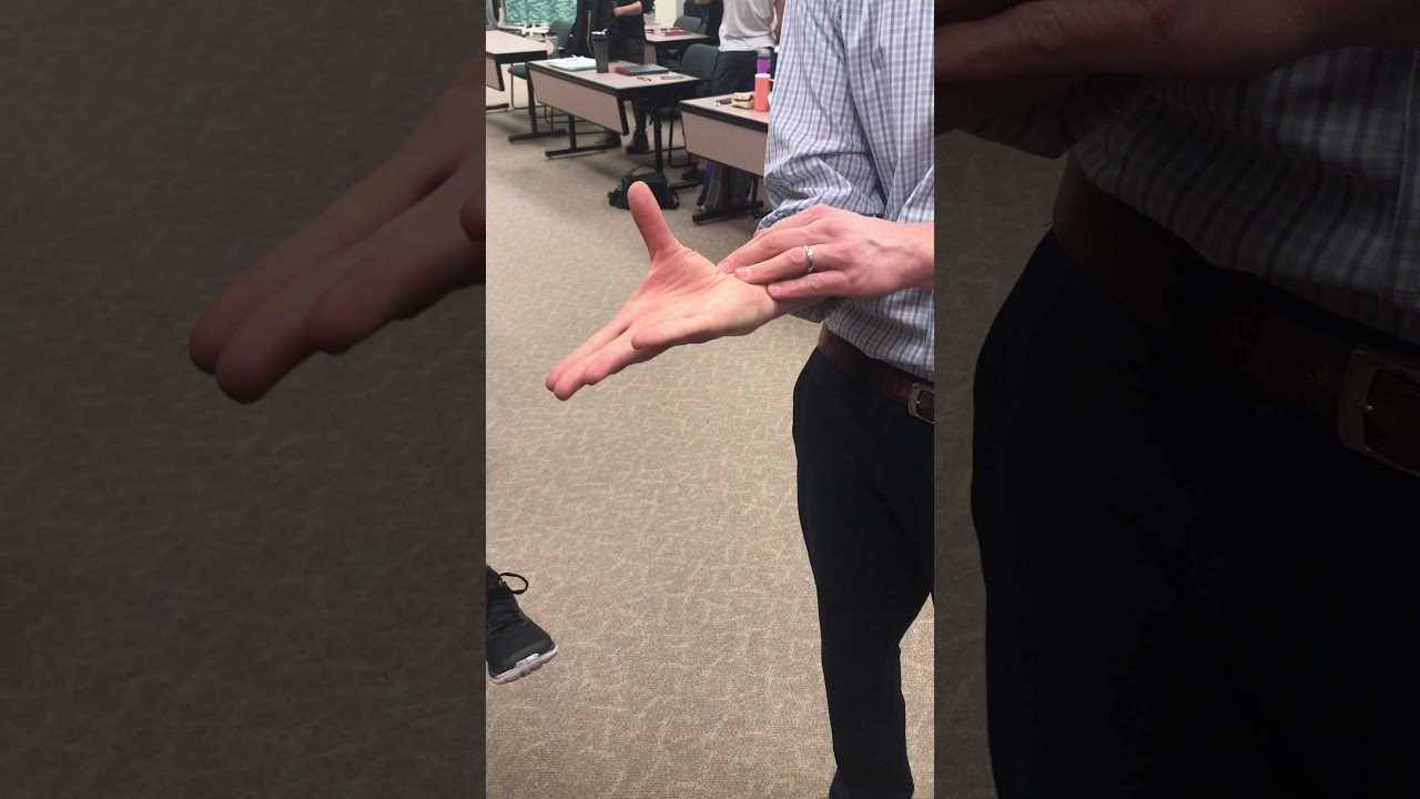 Thenar eminence - YouTube