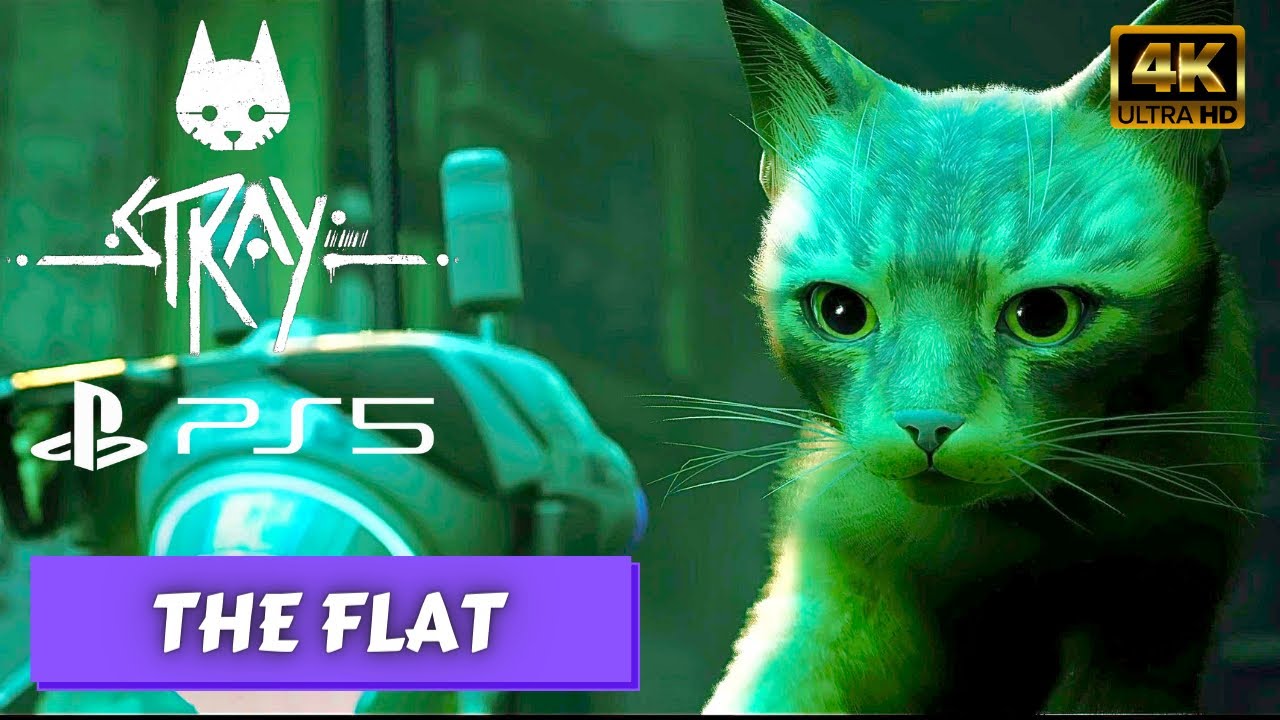 STRAY PS5 - The Flat - Walkthrough (How to Solve the Puzzle & Digicode ...