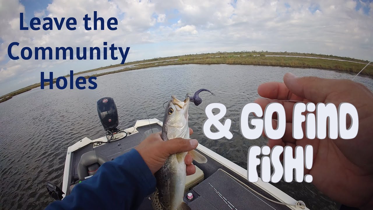 Went to find fish after front - YouTube