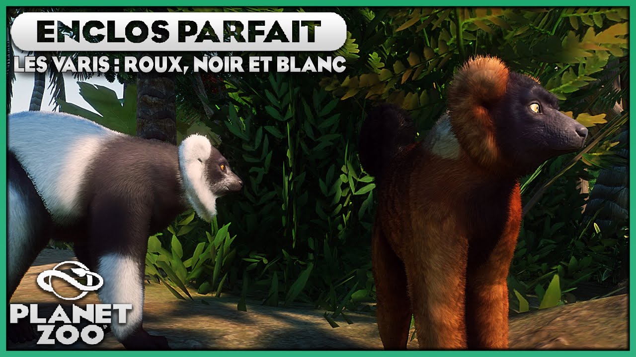 Les Varis Roux, Noirs et Blancs | LES ENCLOS PARFAITS : EPISODE 103 ...