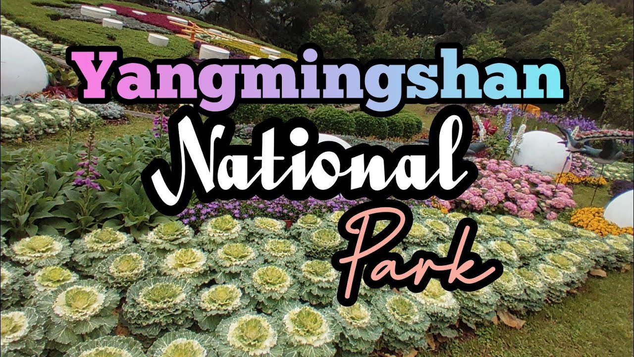 Yangmingshan National Park & Flower Clock - YouTube
