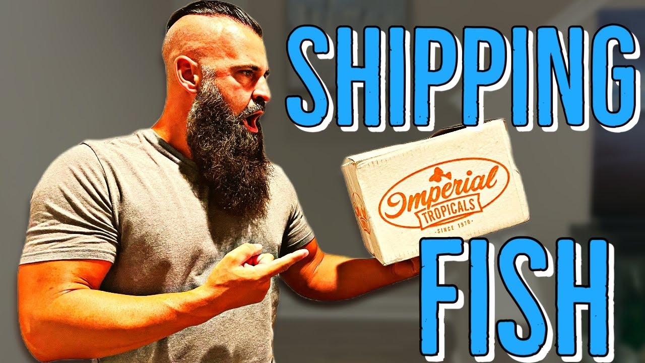 I HAD FISH SHIPPED THROUGH THE MAIL!!! - YouTube
