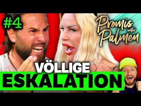 SHOW CANCELLED 💥 SAT.1 GOES TOO FAR! DILARA & MARTIN HAVE TO GO! Celebrities Under Palms 2026 Epi...