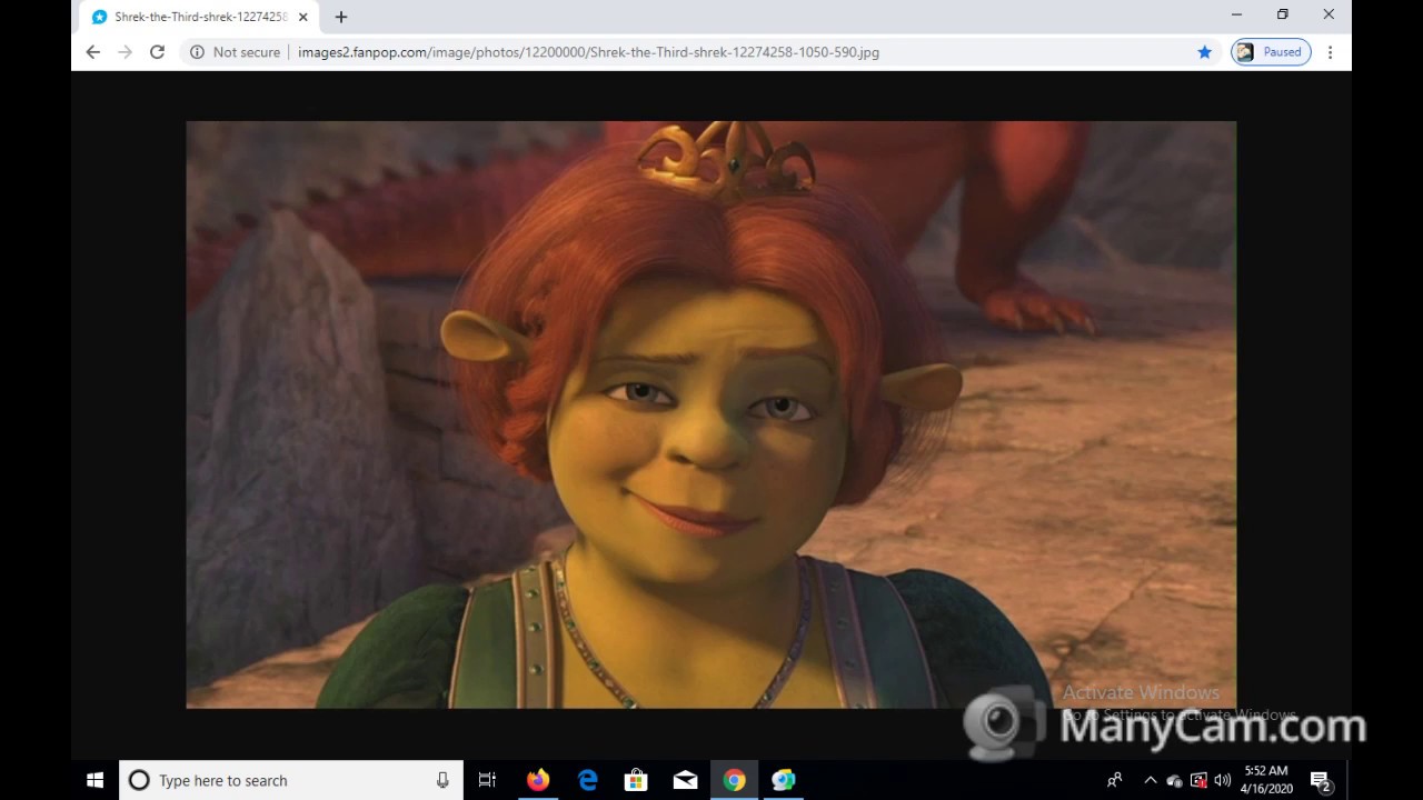 Shrek Forever After 2010 Fiona Fiona Fiona Is A Mudblood Scene Please ...