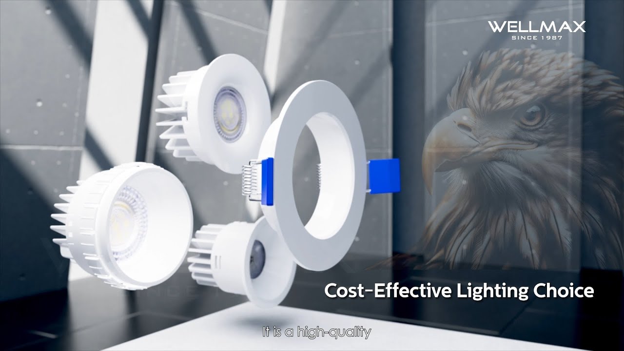Eagle Eye Spotlight: Discover Its #1 Benefit | Modular Design🦅 - YouTube