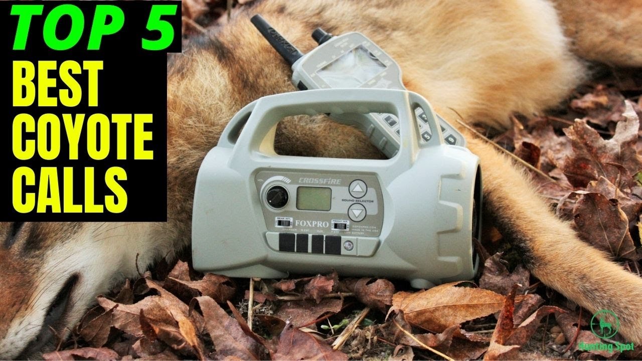 Top 5 Best Coyote Calls In 2021 🐺 Best budget Coyote Hunting Buyers ...