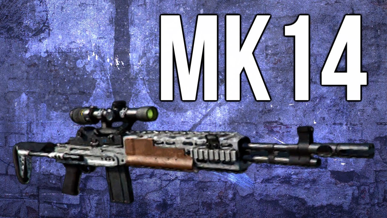 Ghosts Mk14 Ebr