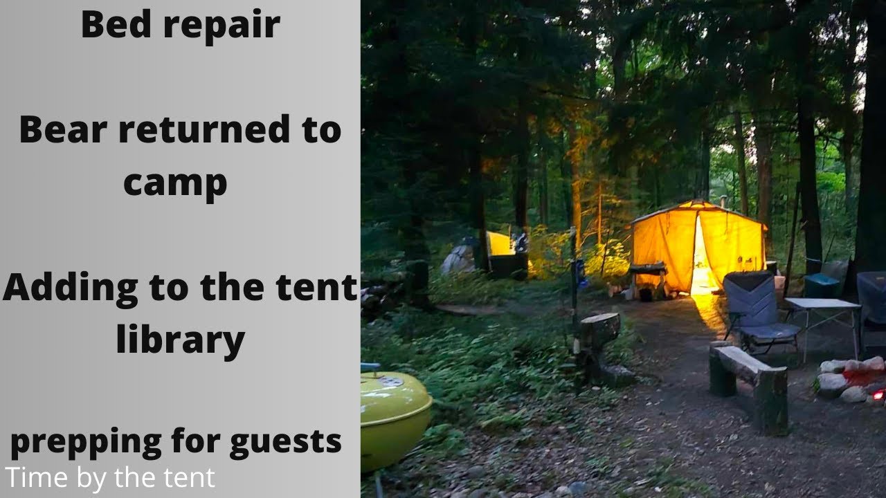 Bear returned to camp, prepping for guests, more books for the tent ...