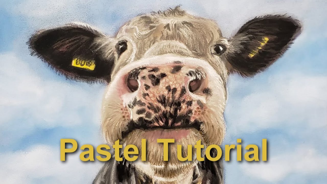 Pastel painting for beginners step by step of a close up cow using pan ...