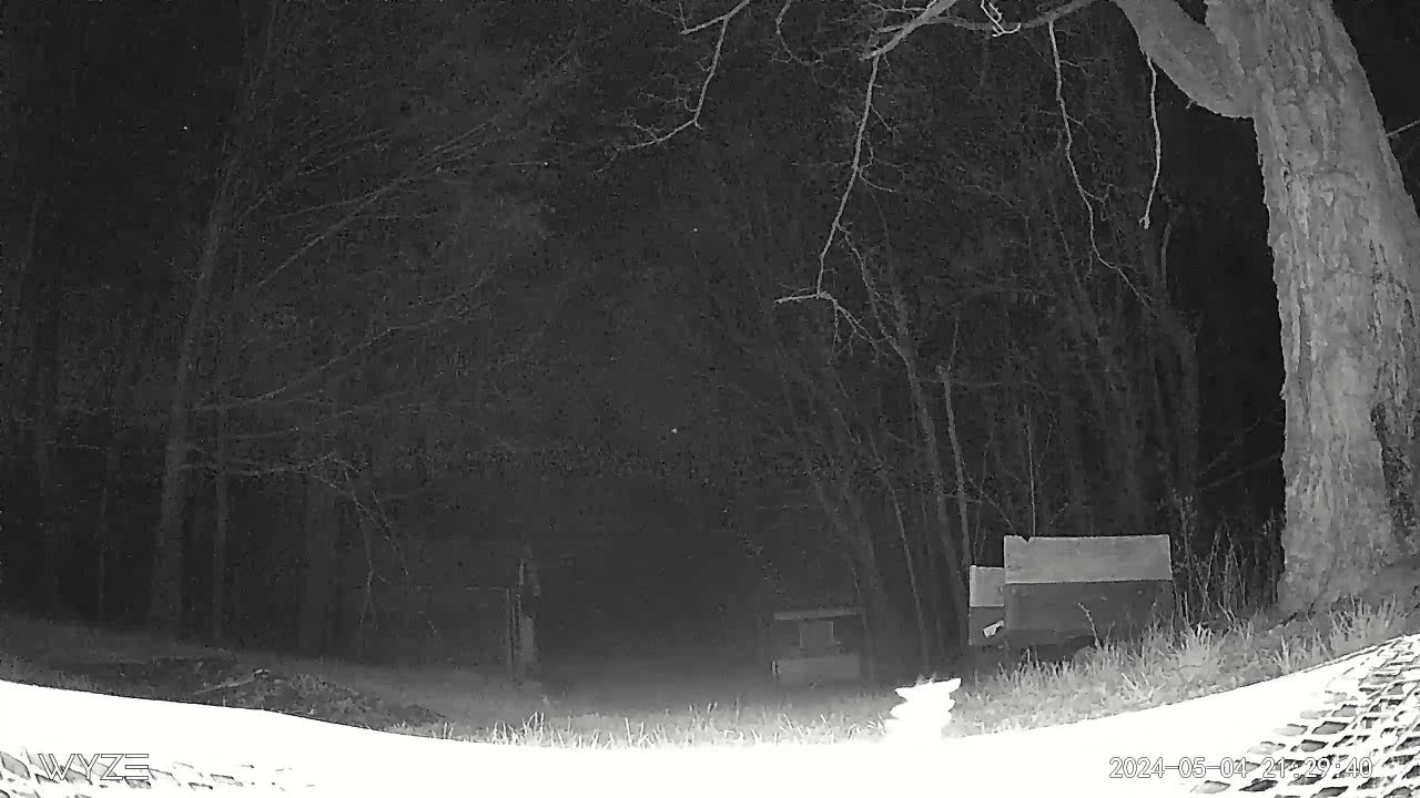 ROD FROM GROUND UP 1/8 SPEED raw footage of skyfish or rods in the ...