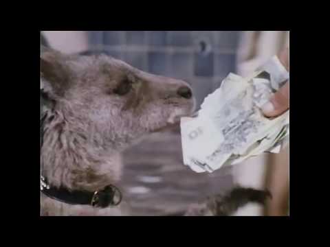Skippy the Bush Kangaroo bets on a horse race and Wins !