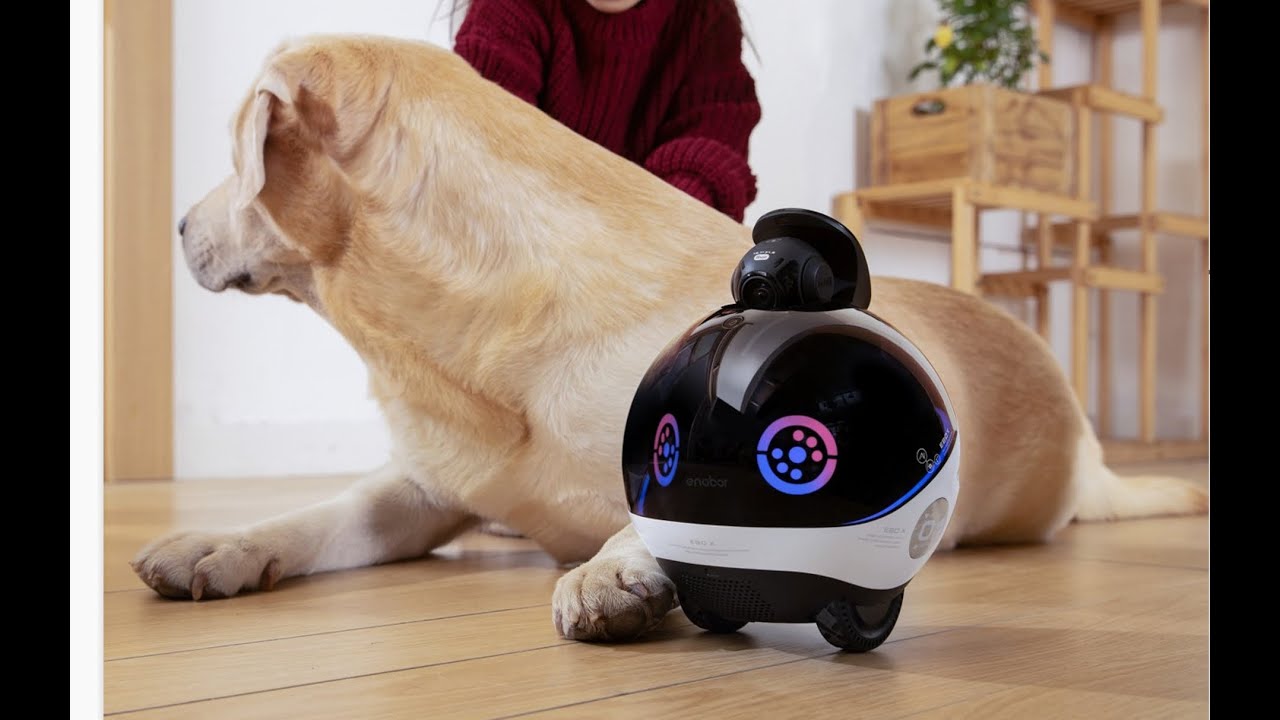 EBOX机器人陪伴你的家人和宠物，创新的设计，超越的体验！ - YouTube