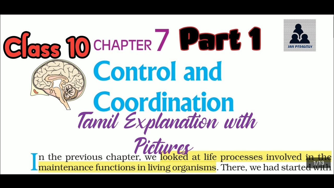 NCERT - Class X - Science - 7.Control & Coordination - Part 1 -Tamil ...