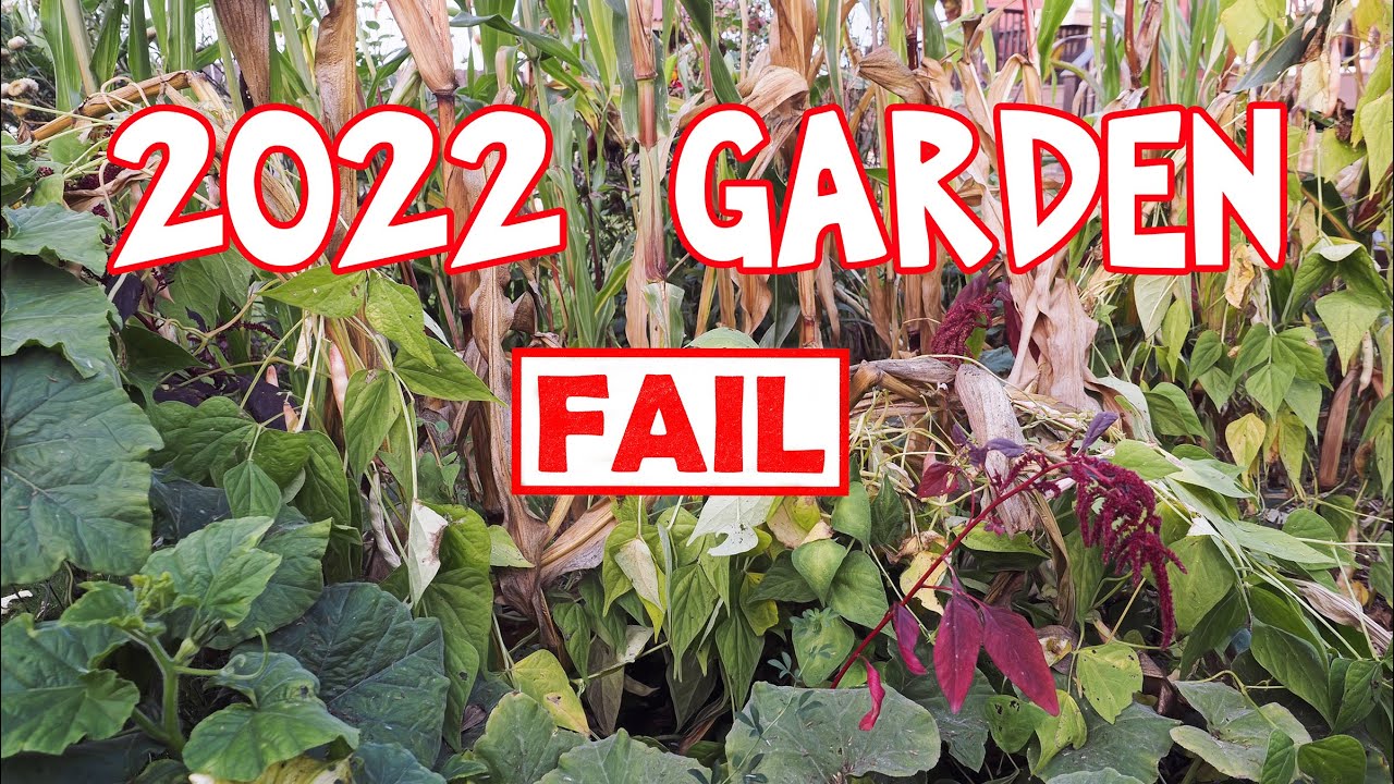 2022 Garden Fails - YouTube