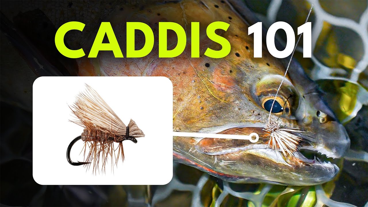 How To Match the Hatch with Caddis — Fly Selection Tips | Episode 8 ...