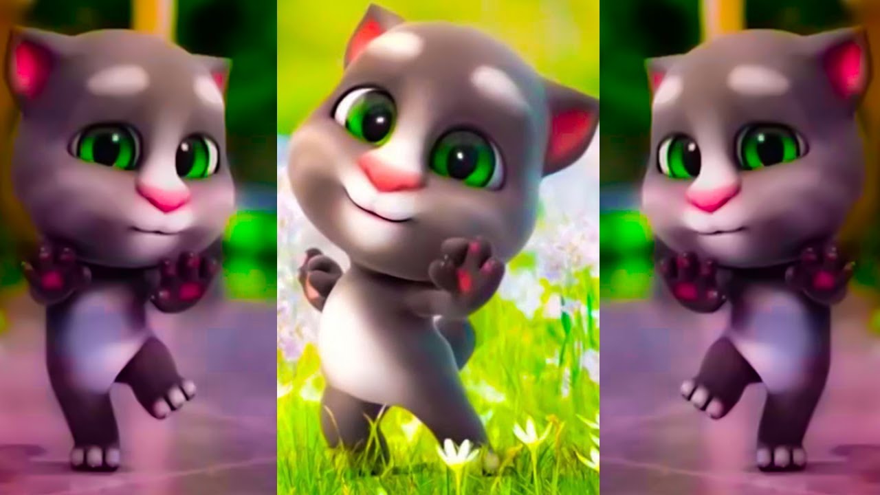 🥰Cute Talking Tom Dancing 2 - YouTube