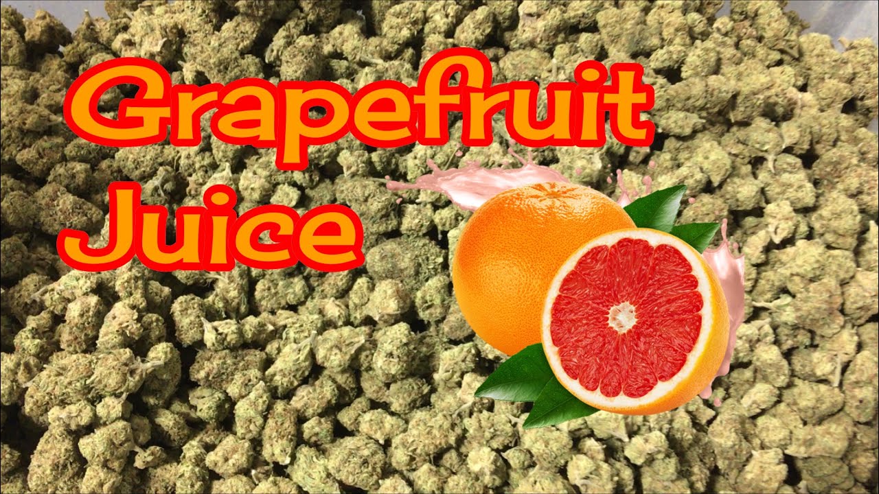Grapefruit Juice Weed - YouTube