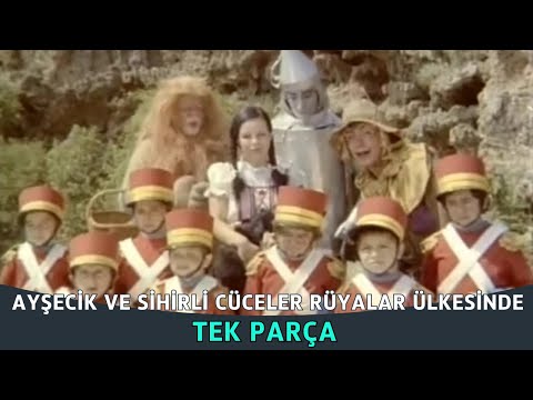Ayşecik ve Sihirli Cüceler Rüyalar Ülkesinde | Türk Komedi Filmi