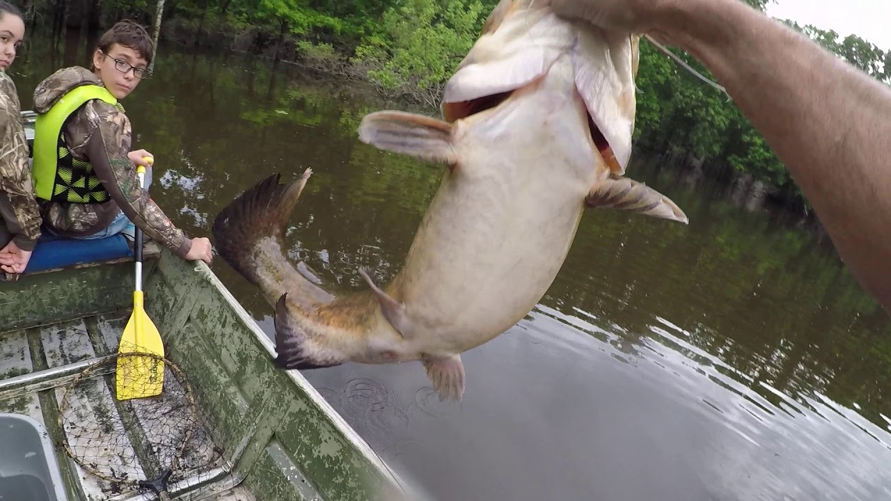 Trot lines - YouTube