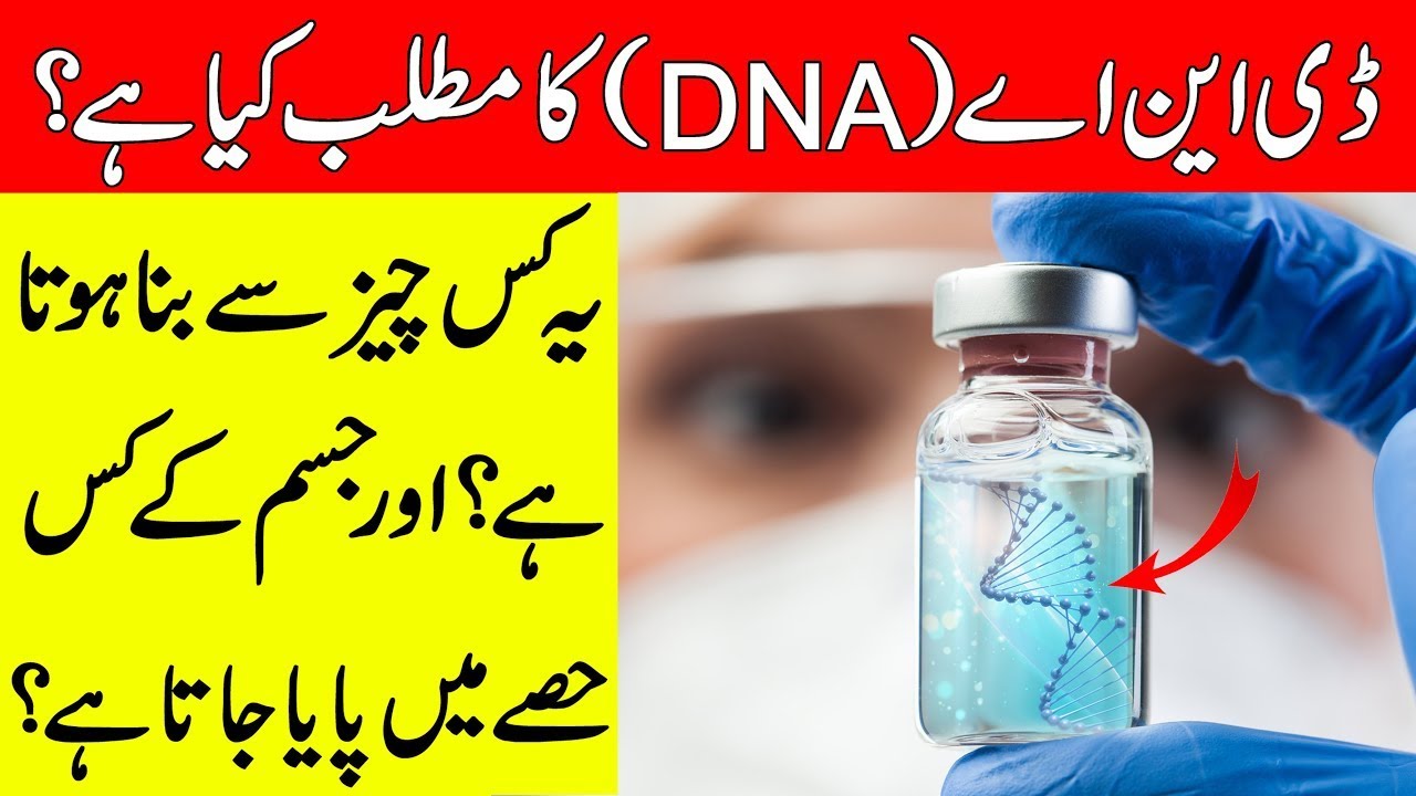 What is DNA and How Does it Work? | Amazing Fact | Reality Facts - YouTube