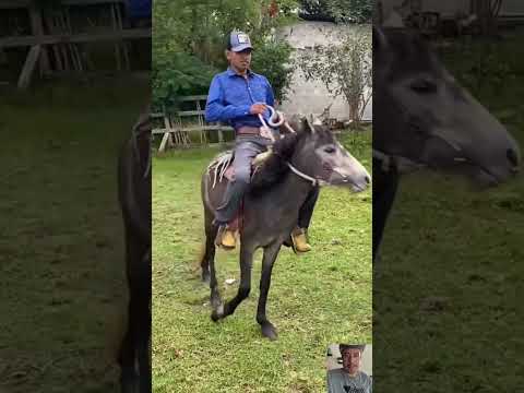 !NUEVAS CAÍDAS GEOGRÁFICAS!Prepárate Para NO PARAR De REÍR 💥🤣🤪#fails #caidas #viral #humor #😂