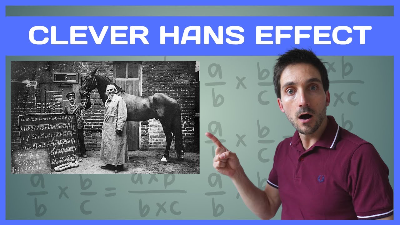 The Clever Hans Effect: A Mathematical Behaviour Tale - YouTube