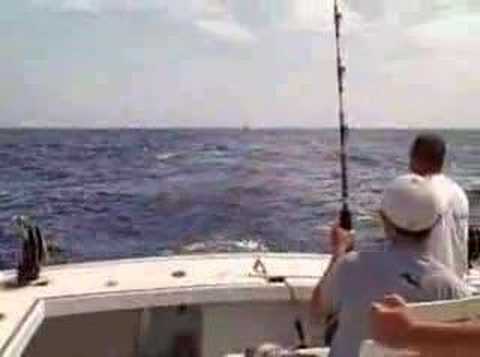 Deep Sea Fishing, Bermuda - D'Fishin MaSheen - YouTube