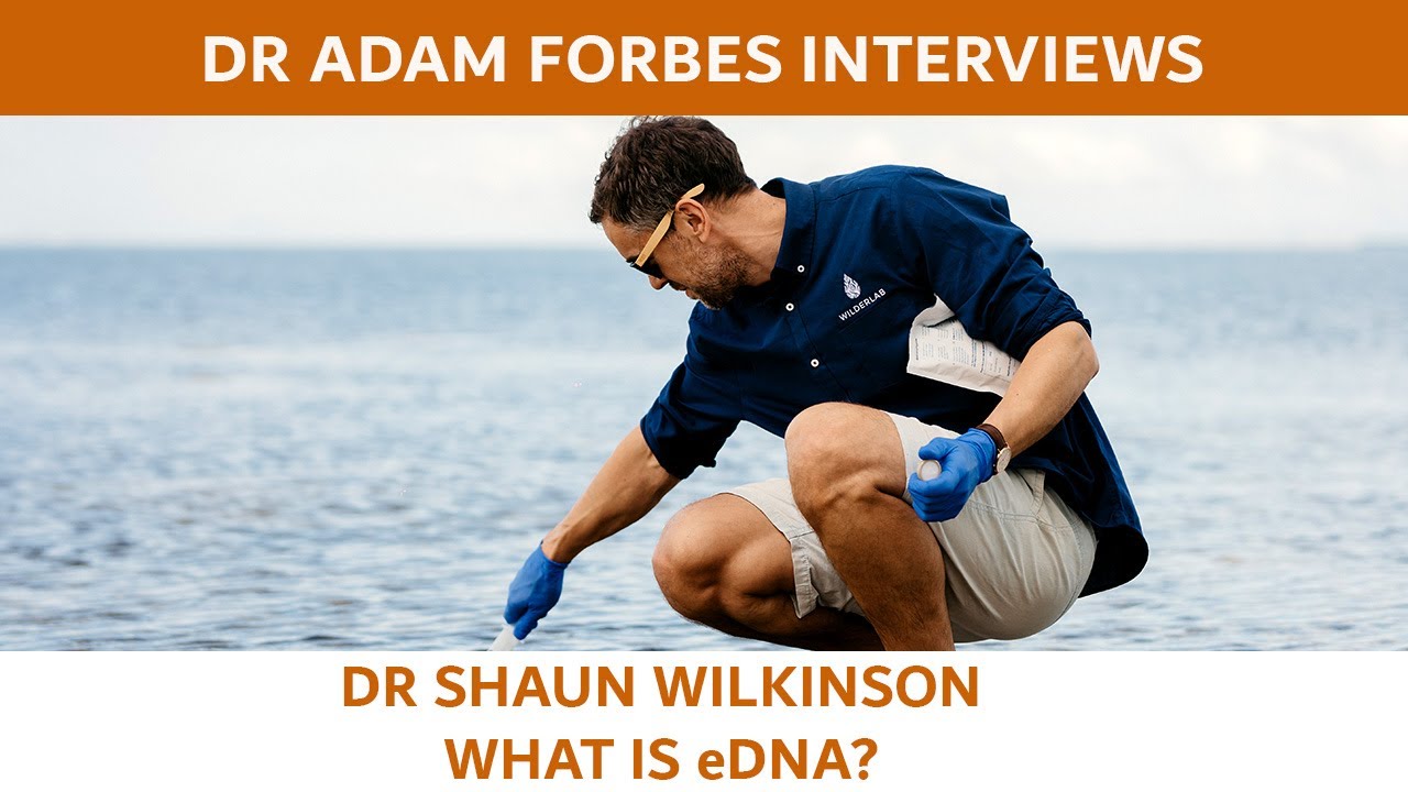 What is Environmental DNA (eDNA) and How Can it Help? - A Conversation ...