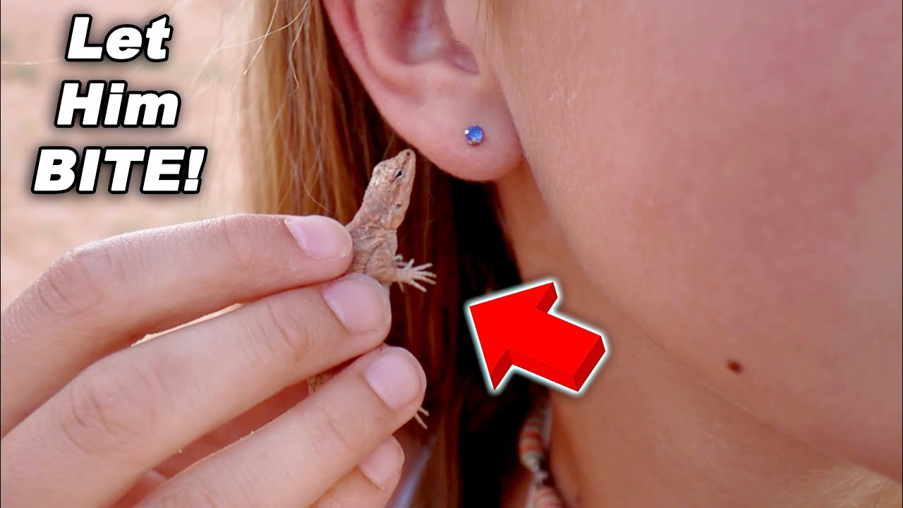 Earrings Made From ALIVE Lizards!! - YouTube