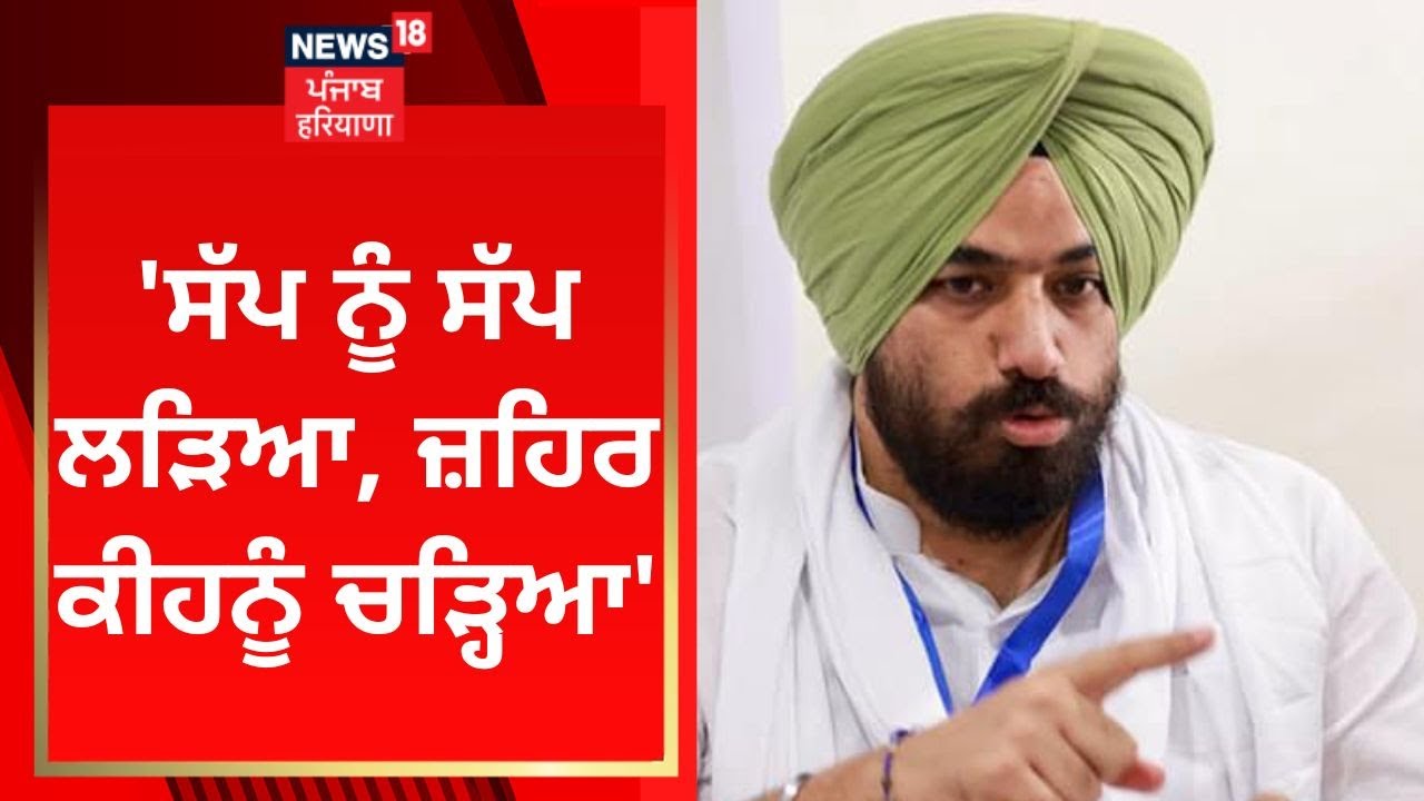 Brinder Singh Dhillon : 'ਸੱਪ ਨੂੰ ਸੱਪ ਲੜਿਆ, ਜ਼ਹਿਰ ਕੀਹਨੂੰ ਚੜ੍ਹਿਆ ...