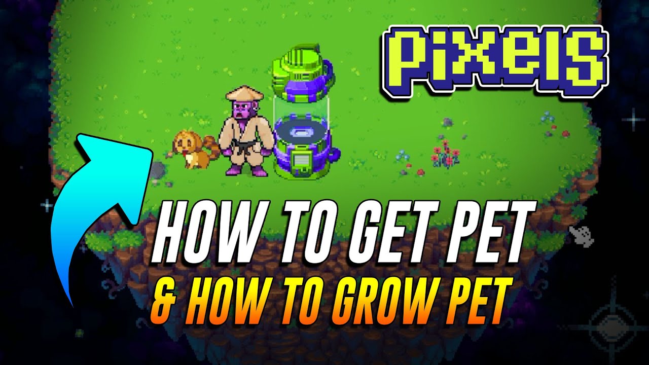 HOW TO GET PET AND HOW TO GROW PET IN PIXELS ONLINE - YouTube
