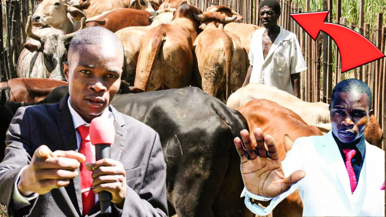 Baba vakanorombera mombe , chikwambo chakutadzisa mwana kugara mumba ...