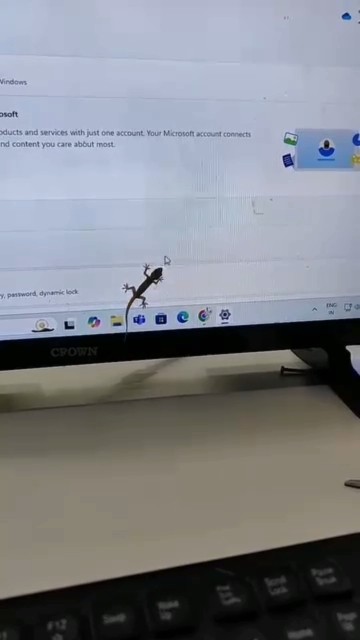cursor to be mosquito/ insect - YouTube