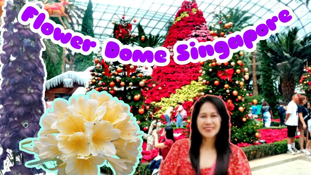 Flower Dome Tour||Where Flowers Bloom @gardensbythebay - YouTube