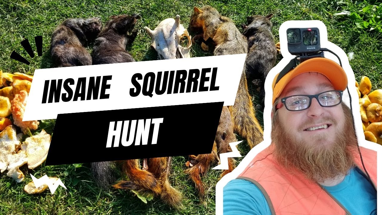 Insane Squirrel Hunt - YouTube