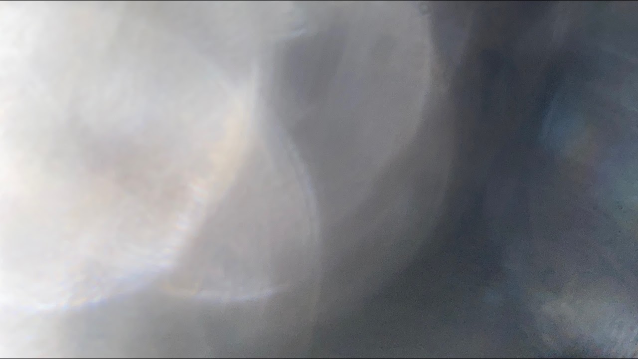 chardae 🐰 Live Stream - YouTube