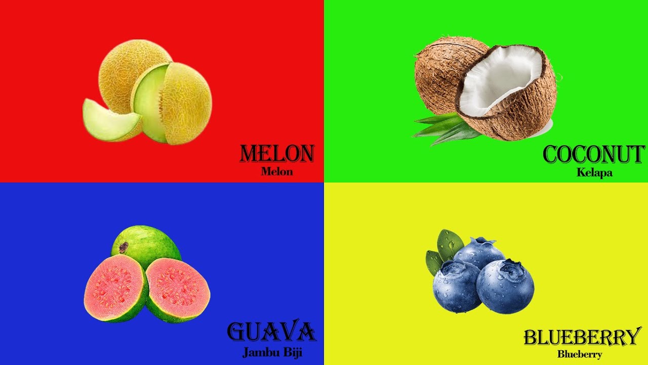 Learn Fruits by Pictures(coconut, blueberry, guava, melon) - YouTube