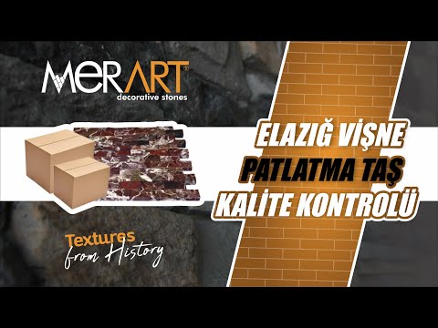 Elazığ Vişne Patlatma Taş Kalite Kontrolü