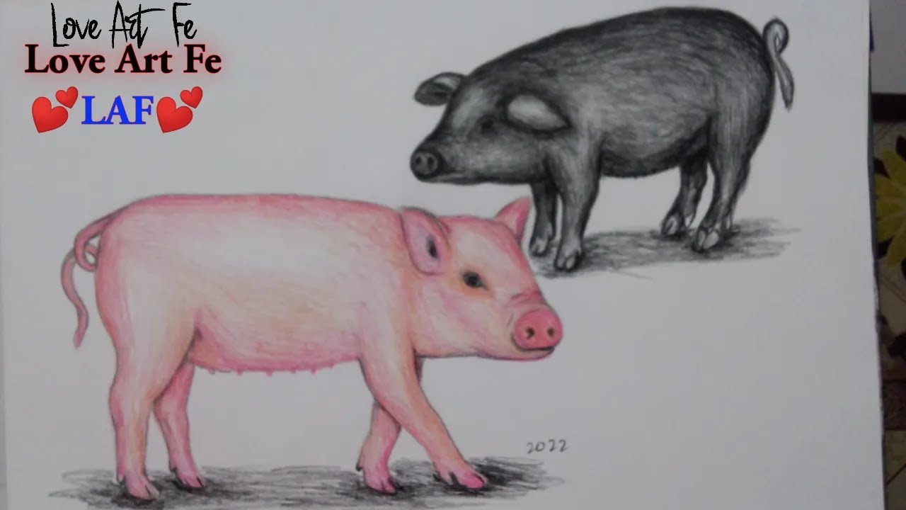 How To Draw Pig ?? For Beginner Using Colored pencil,, #arttutorial # ...
