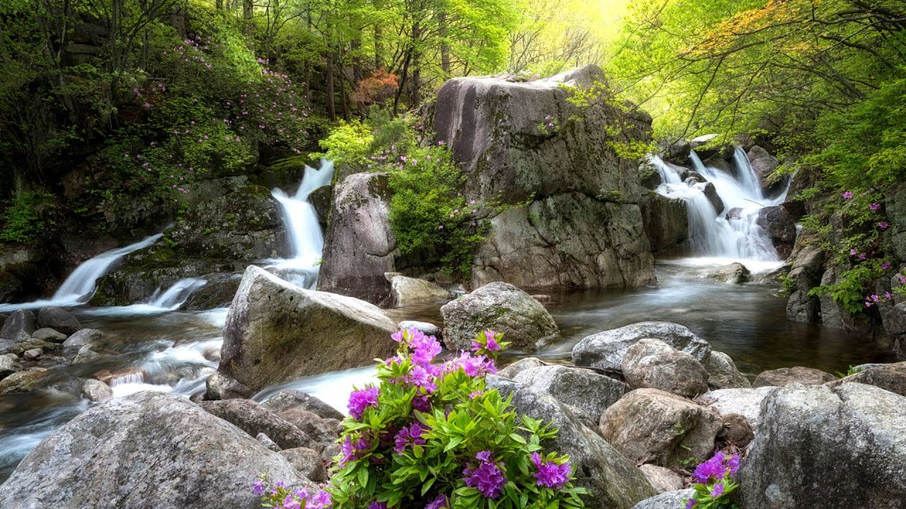 Spring Relaxing Music for Stress Relief and Pozitive Mind - YouTube Music