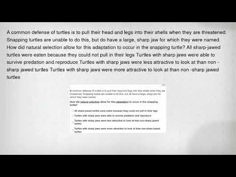 A common defense of turtles is to pull their head and legs into their ...