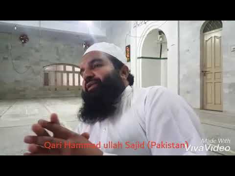Qari Hammad ullah Sajid - YouTube