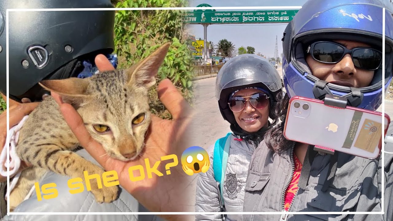 Our First Long Ride To Hassan With our Cat|Is she ok?😱|S2E1|Hassan ...