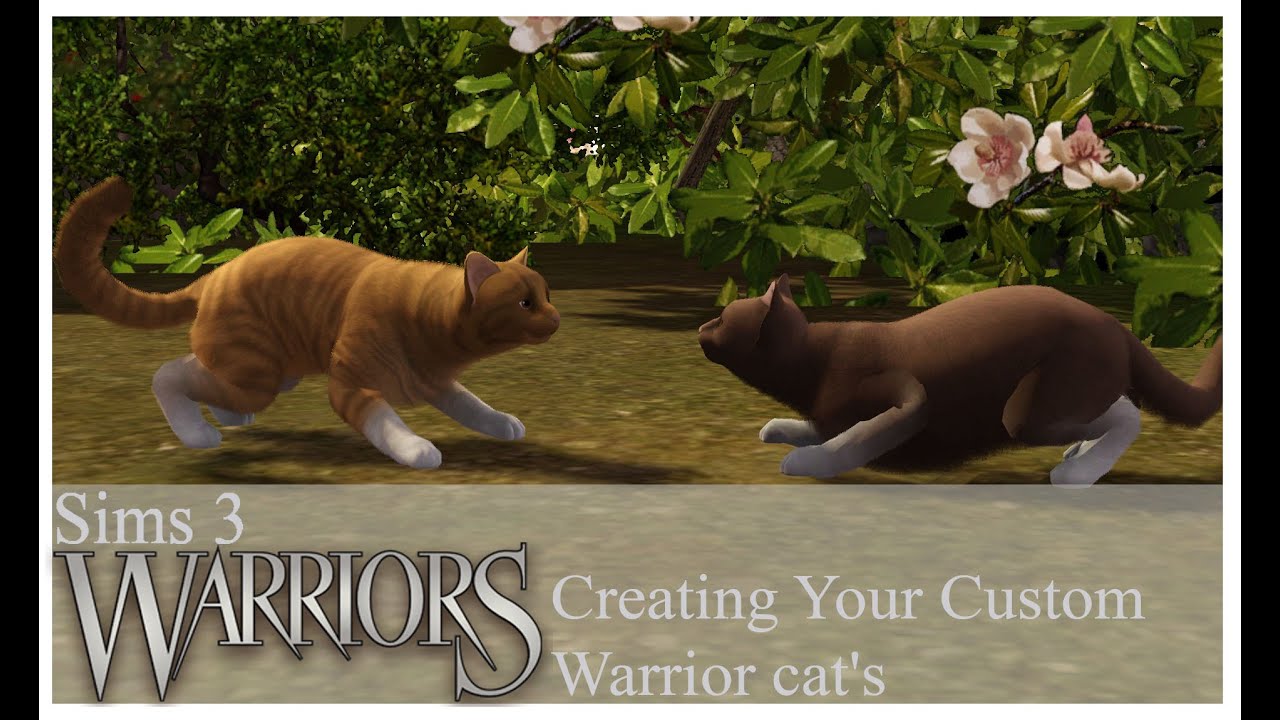 Creating Your Custom Warrior cat's 🐾🐈 - YouTube