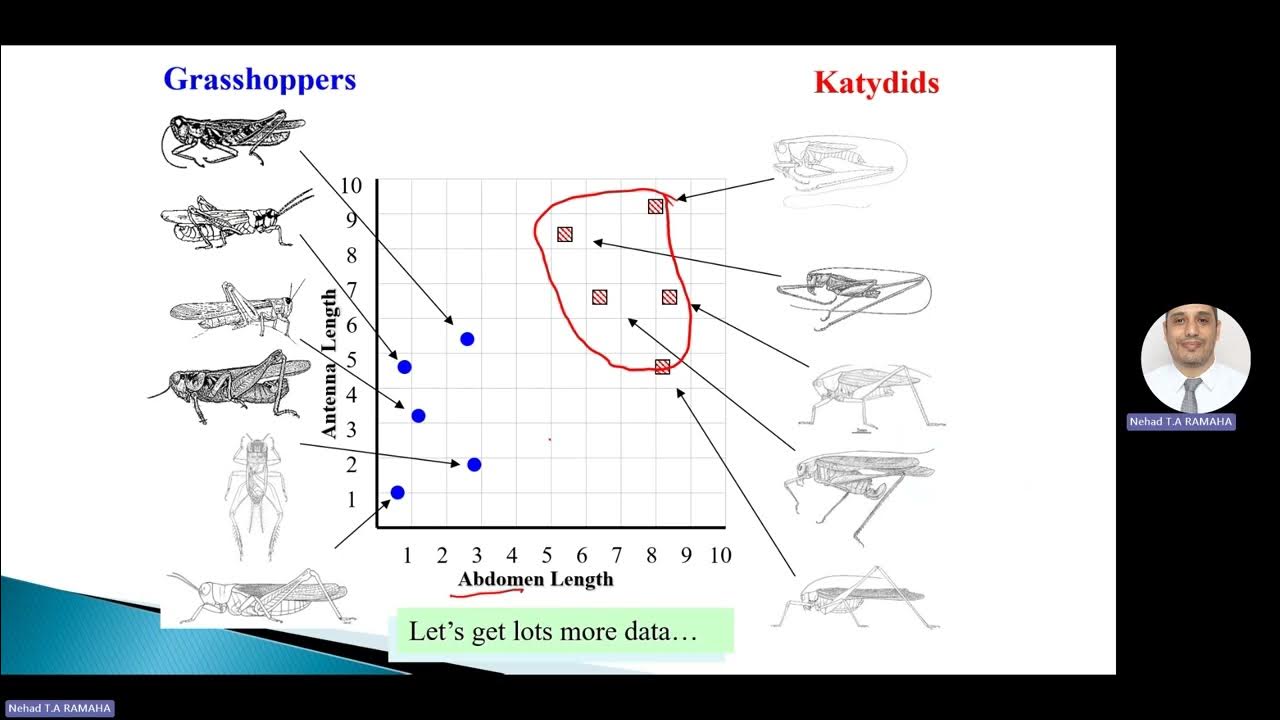 week5- Pattern Recognition(Naive Bayes)-part1 - YouTube