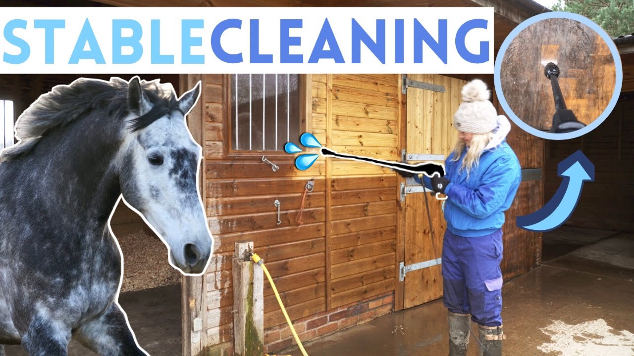 Pressure Washing The Whole Stables! Renovation Series AD | This Esme ...