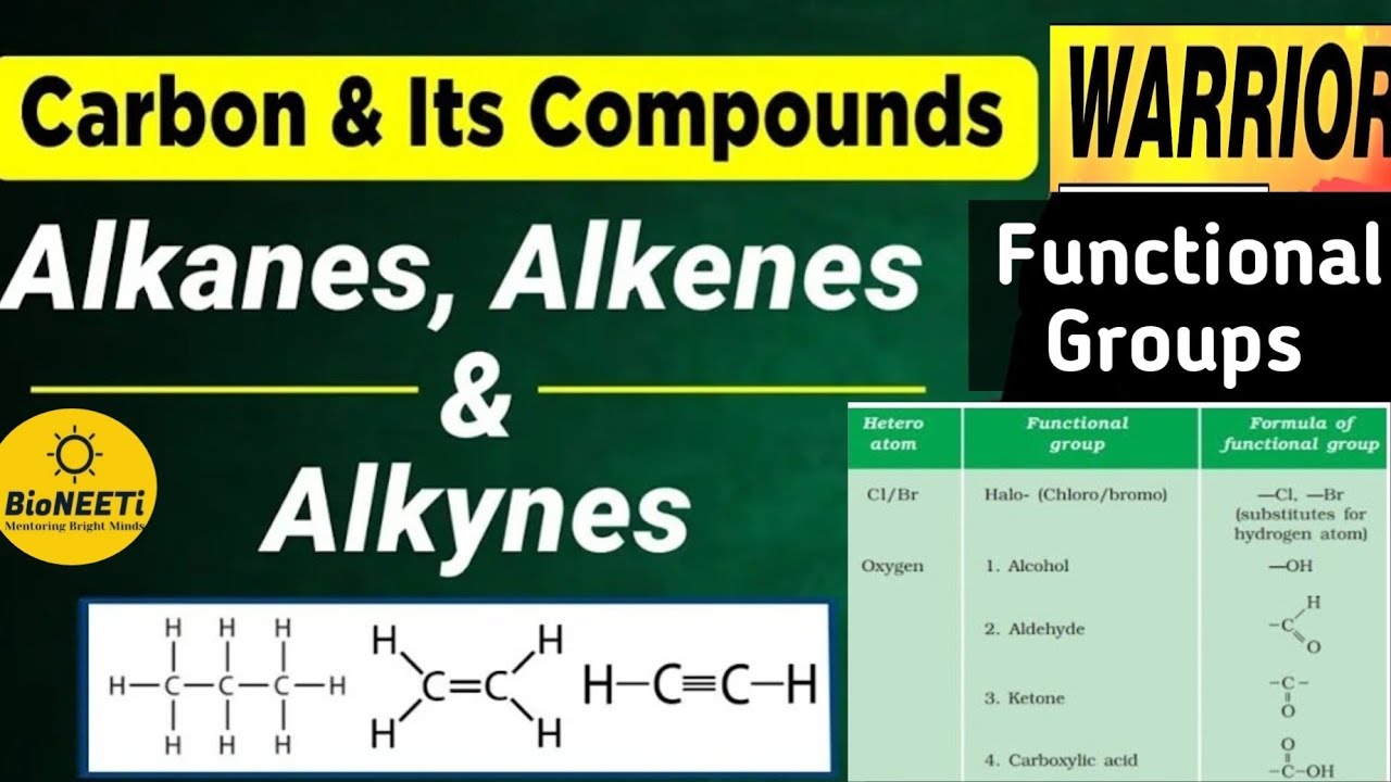 Saturated - Unsaturated Hydrocarbons With Functional Groups- CBSE Class ...