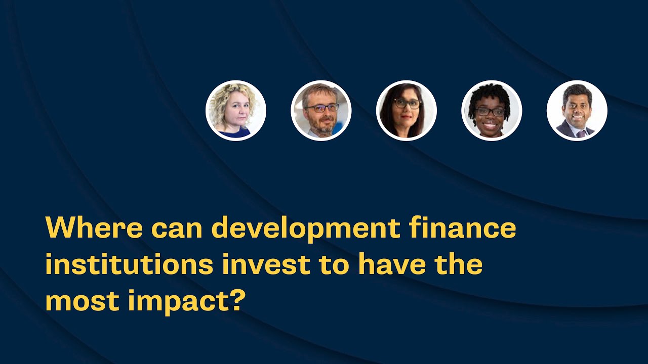 Where can development finance institutions invest to have the most ...