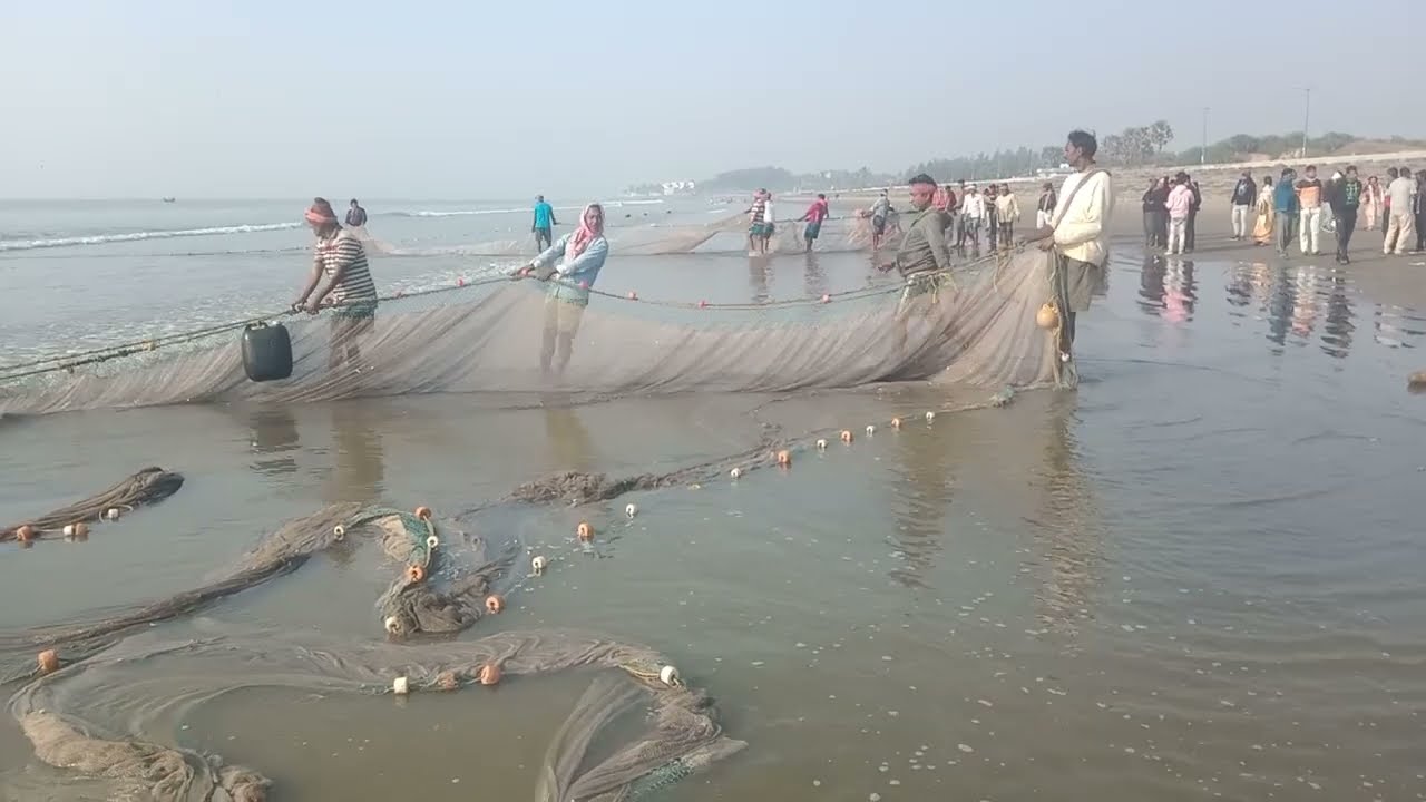 Mohana fishing 🙏 Live Fish Catching at Digha |Sea Fishing at Digha ...