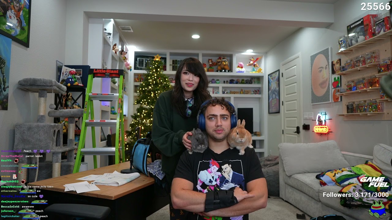 Emiru and Mizkif's Rabbit Balancing Act - YouTube